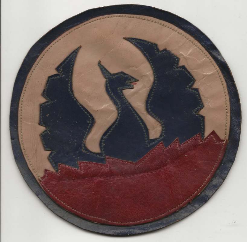 Fantastic Patches Named With No Info On Unit, OSS Connection? - ARMY ...