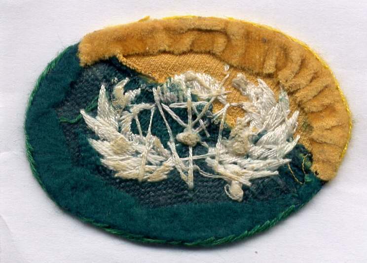 Green Jump Wing Oval - AIRBORNE, GLIDER TROOPS, PARATROOP JUMP WINGS ...