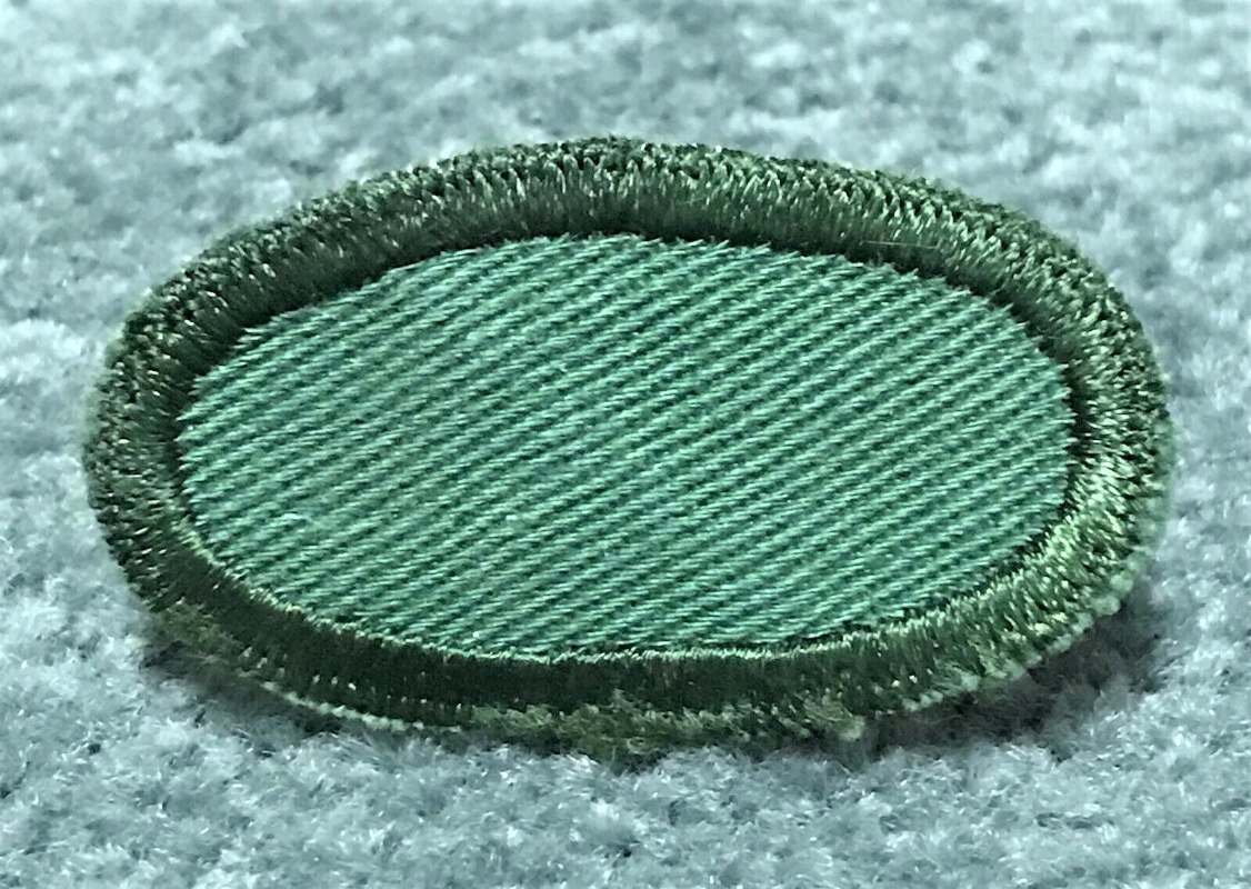 Green Jump Wing Oval - AIRBORNE, GLIDER TROOPS, PARATROOP JUMP WINGS ...
