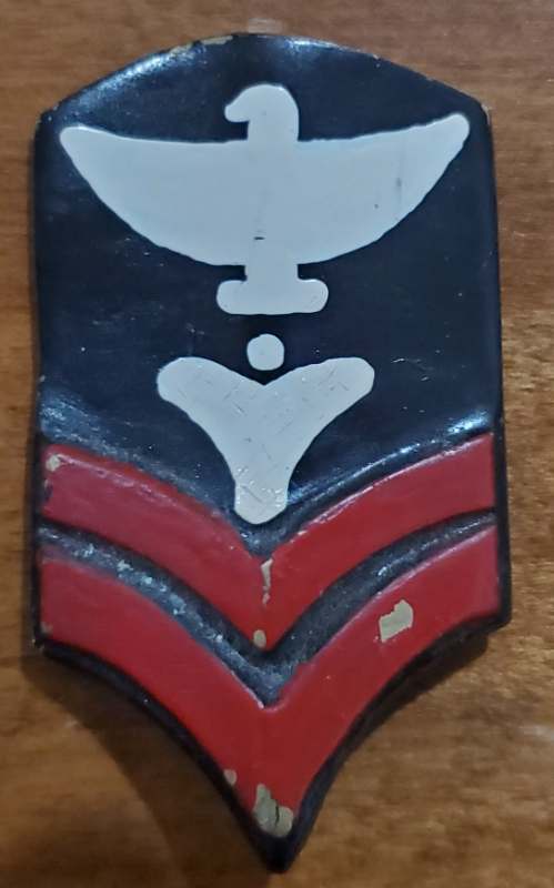 Unknown Navy HM2 metal insignia - NAVY, MARINE CORPS, COAST GUARD - U.S ...