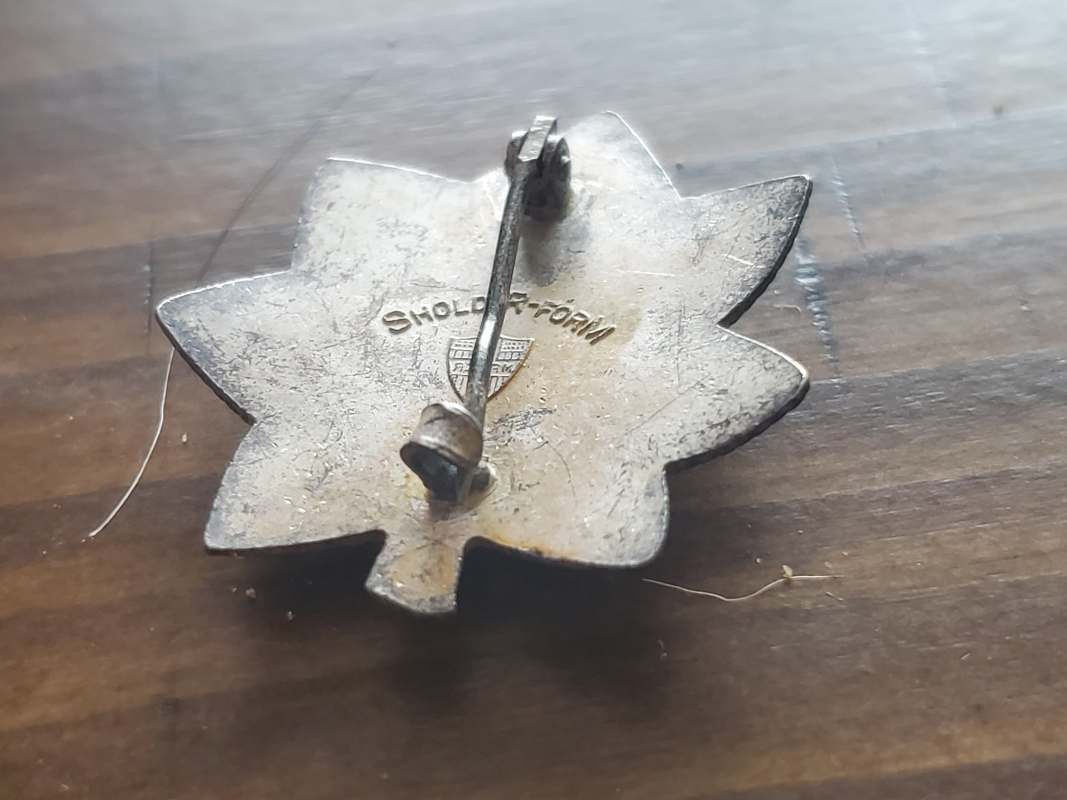 Lt. Colonel rank pins - ARMY (INCLUDING USAAC/AAF) - U.S. Militaria Forum