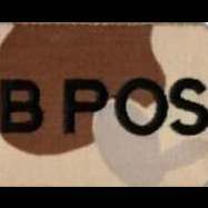 Operation White Star beret flash - ARMY AND USAAF - U.S. Militaria Forum