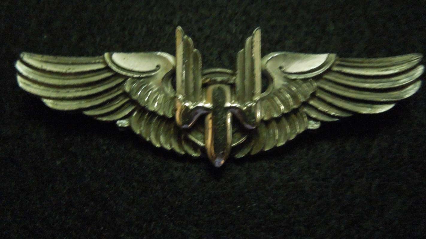 ACID TEST ON WINGS? - WING BADGES - U.S. Militaria Forum