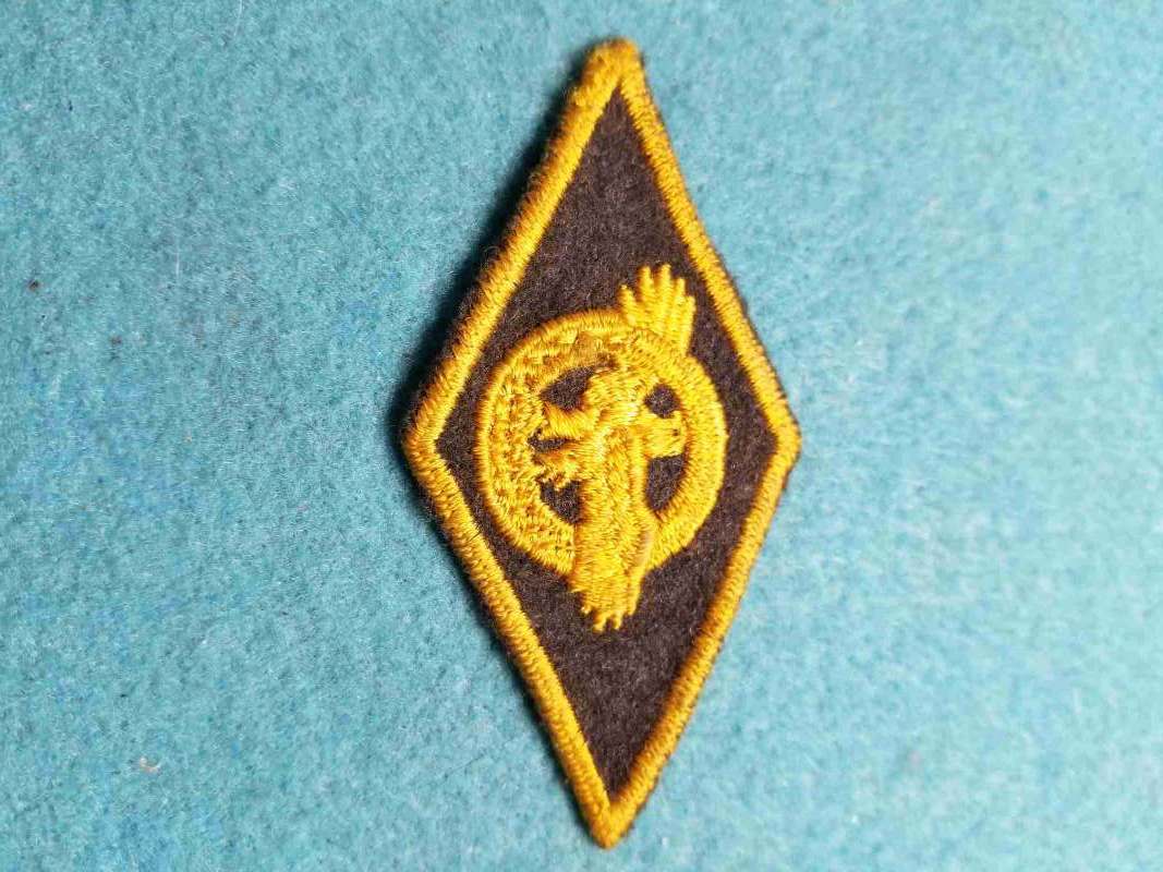 Ruptured Duck breast patch wool with yellow border - MISCELLANEOUS ...
