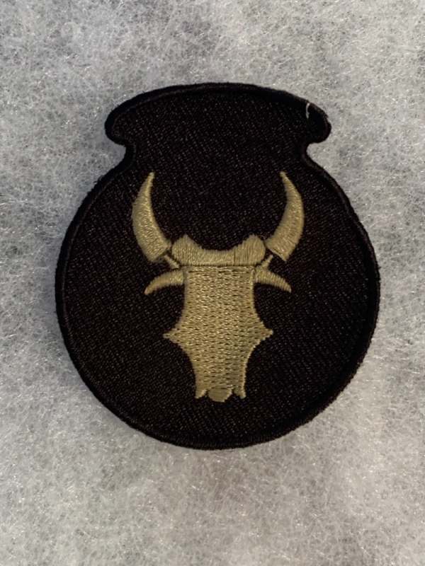Best Patch Finds 2021 - Page 2 - ARMY AND USAAF - U.S. Militaria Forum