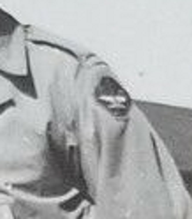 Patch Identification? Army Specialized Training Program - ARMY AND ...