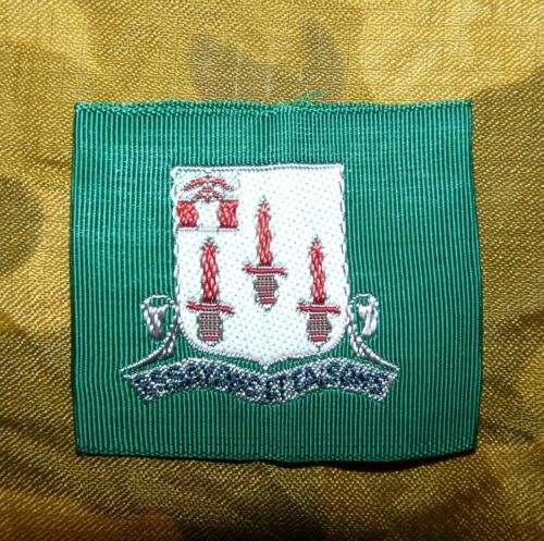 Green Combat Leader stripe - Page 13 - ARMY (INCLUDING USAAC/AAF) - U.S ...