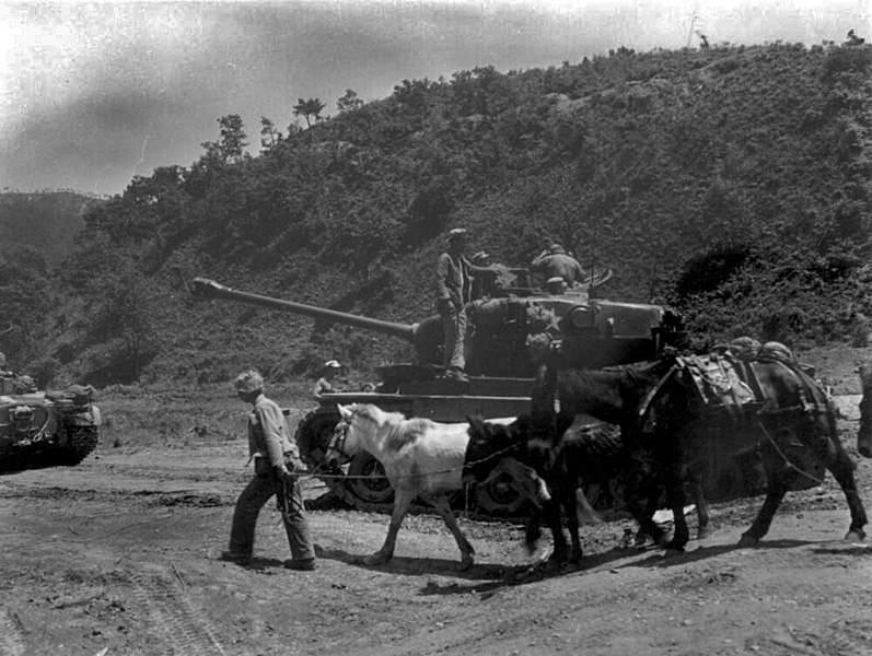 USMC KW Photos of Rocket Launchers and Horse/Mule Transport - EPHEMERA ...