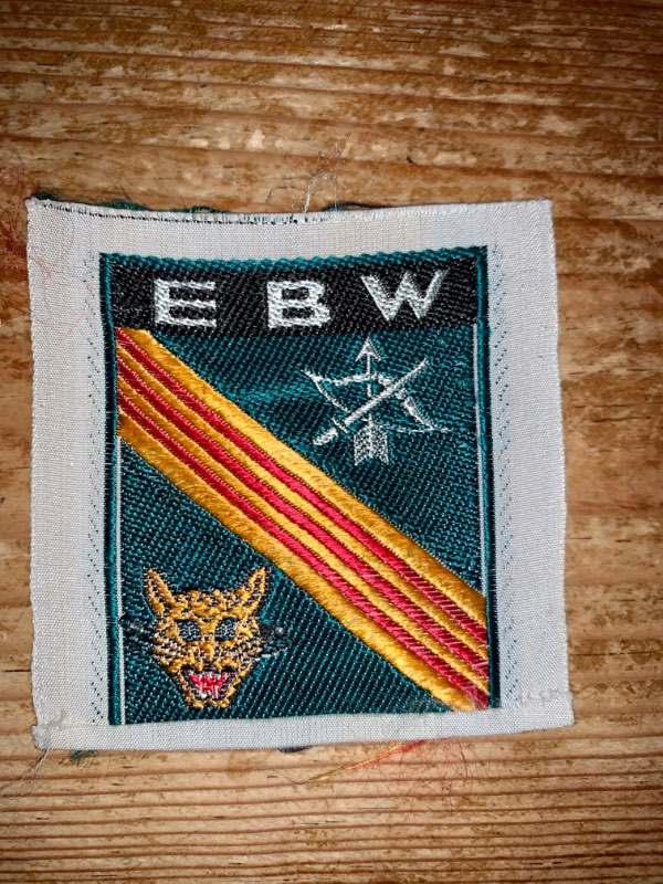 Thread on Vietnam War Era Special Forces Related BEVo Style Patches ...