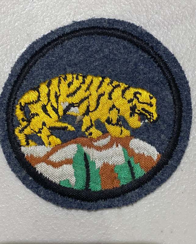 Tiger Patch - CAN YOU IDENTIFY THIS PATCH? - U.S. Militaria Forum