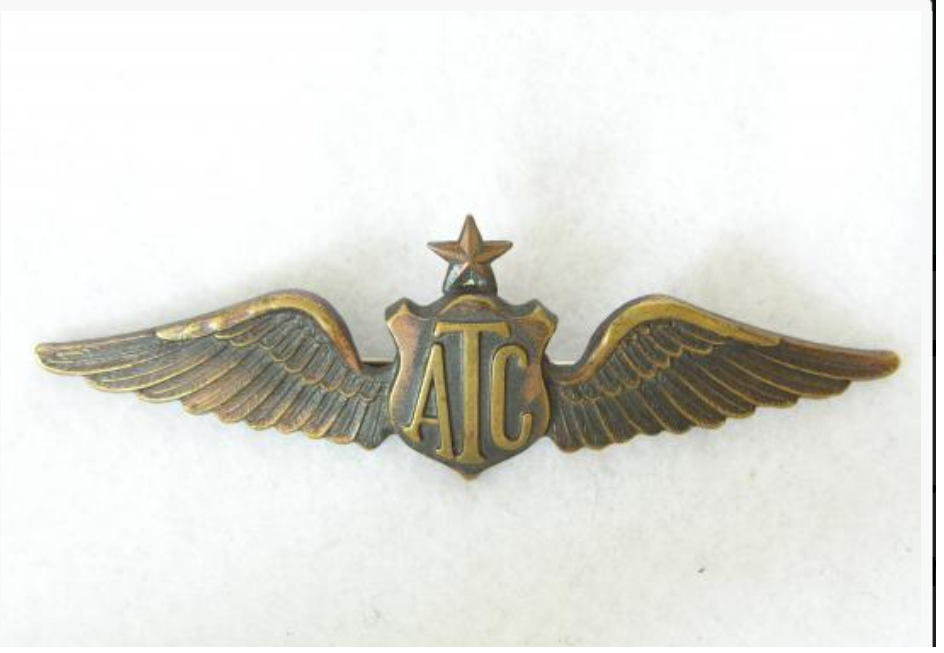 ATC Pilot wings... Real or fake ? - WING BADGES - U.S. Militaria Forum