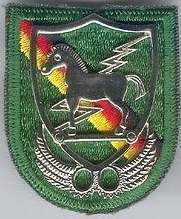 Help With 10th Special Forces Trojan Horse Badge - DISTINCTIVE UNIT ...