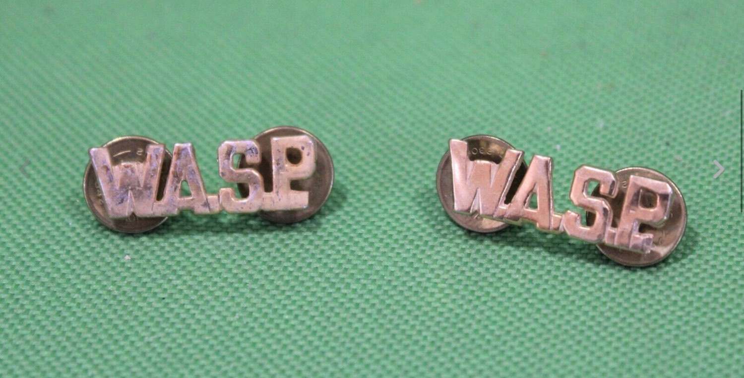 Thoughts on this set of WASP lapel pins? - BADGES, AWARDS, DUI, AND ...