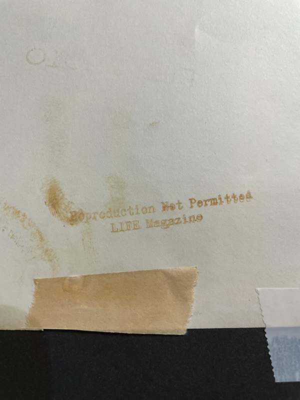 Original Peter Stackpole LIFE magazine silver gelatin print of WASP ...