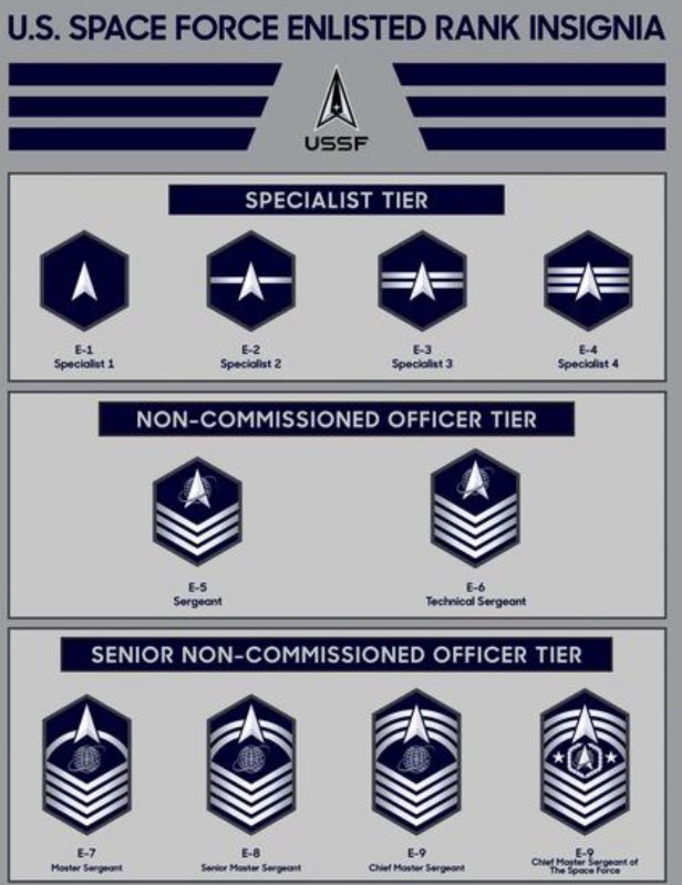 New Space Force chevrons! - AIR FORCE (USAAF IS WITH ARMY) - U.S ...