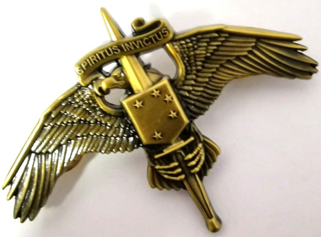 MARSOC qualification Marine badge - NAVY, MARINE CORPS, COAST GUARD - U ...