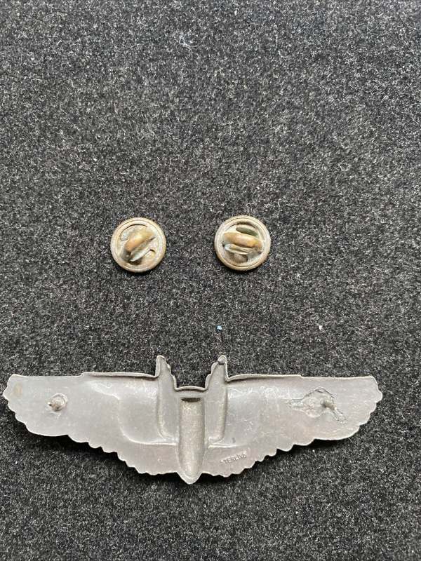 uniform insignia, dover delaware? - WING BADGES - U.S. Militaria Forum