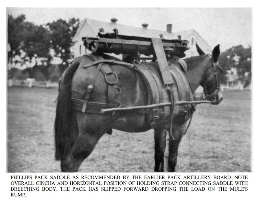 Army Mules in Service - ANIMALS IN SERVICE - U.S. Militaria Forum
