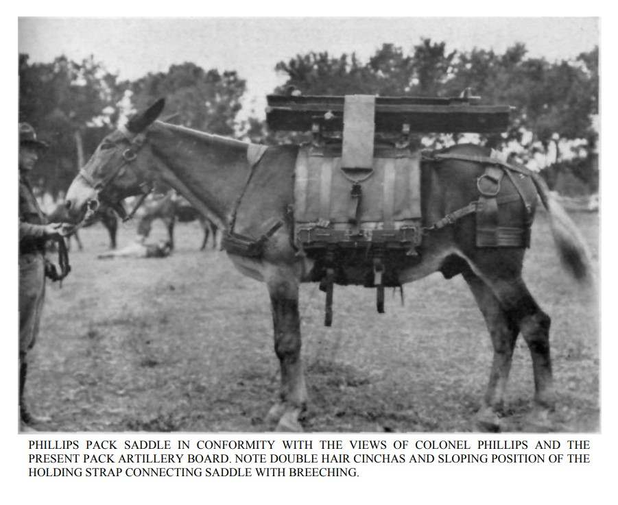 Army Mules in Service - ANIMALS IN SERVICE - U.S. Militaria Forum