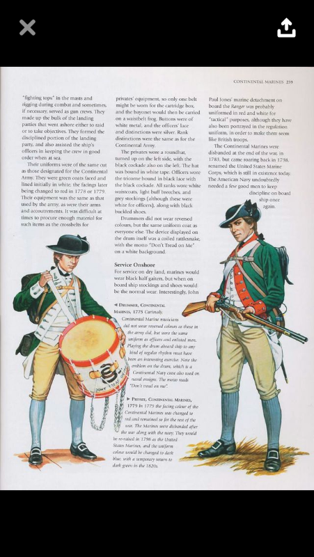 Evolution of U.S. Marine insignia - MARINE CORPS EGA DISCUSSION - U.S ...