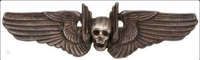 India-made pilot badge with skull or shrunken head - WING BADGES - U.S ...