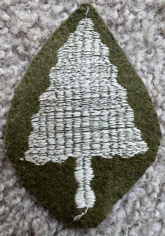 91st Division Patch Variations - (1917-1919) WORLD WAR ONE, RUSSIAN ...