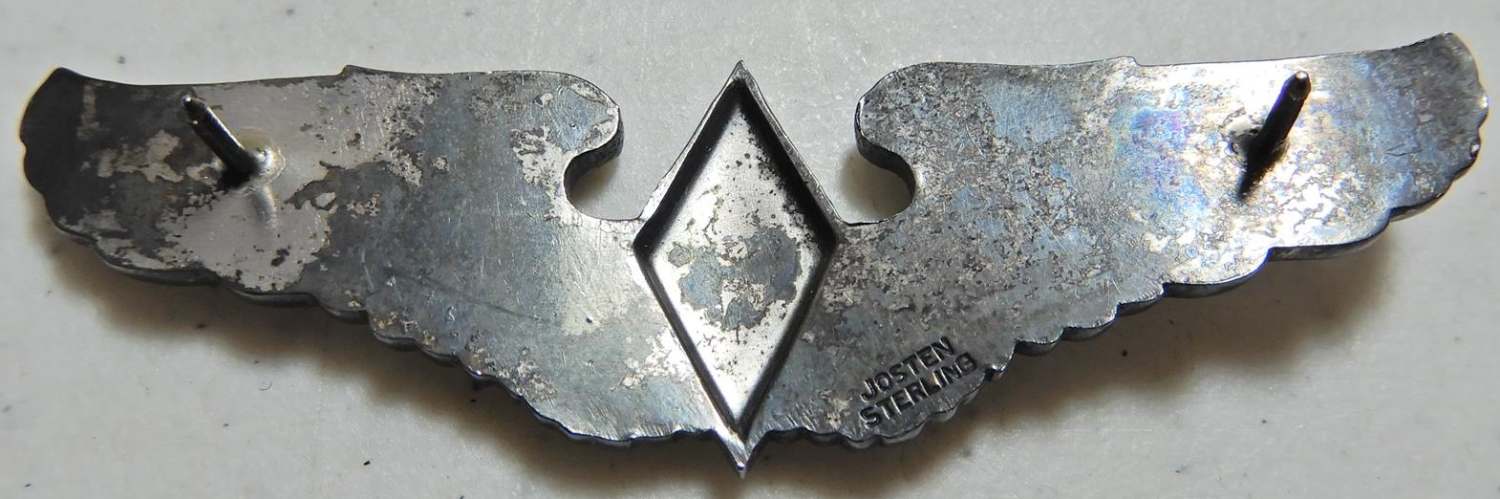 WASP Wings for Review - WOMEN FLYING SERVICES WING BADGES: WAFS, WASPS ...