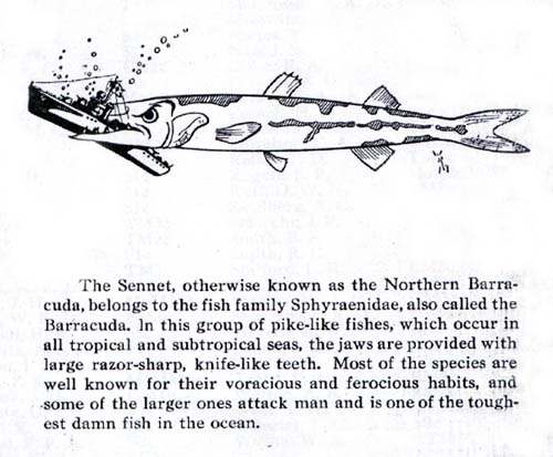 Silent Service - The USN Submarine Forces - Page 7 - NAVY, COAST GUARD ...