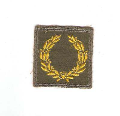 Unit award question - ARMY AND USAAF - U.S. Militaria Forum