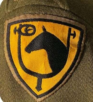 Ultra Rare 61st Cav Div woven patch - ARMY AND USAAF - U.S. Militaria Forum