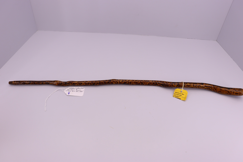 Souvenir handmade walking stick for the 25th anniversary of Gettysburg ...