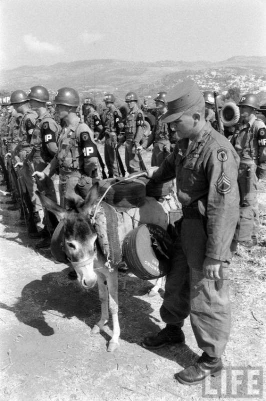 Patches in action: Photos of SSI being worn by the troops. - Page 243 ...