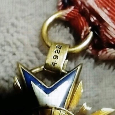 Question on MOLLUS medal number engraving - MEDALS & DECORATIONS - U.S ...