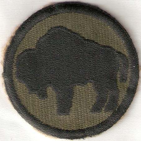 Patches in action: Photos of SSI being worn by the troops. - Page 245 ...