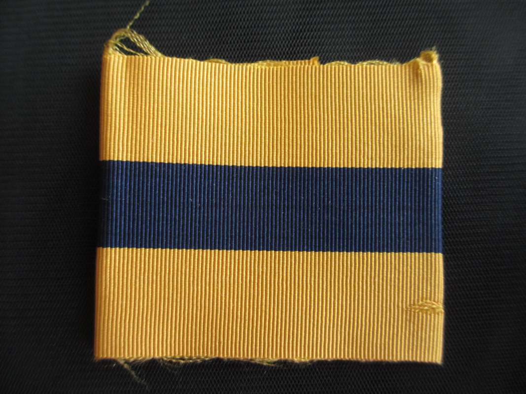 14th Cavalry Distinctive Unit Trimming - DISTINCTIVE UNIT INSIGNIA ...