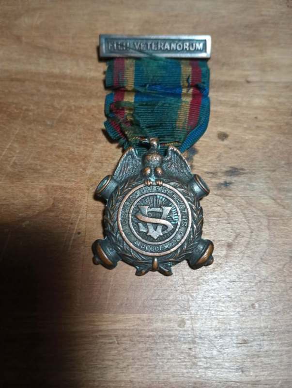 Sons of Union Veterans Medal - VETERANS' ORGANIZATIONS - U.S. Militaria ...