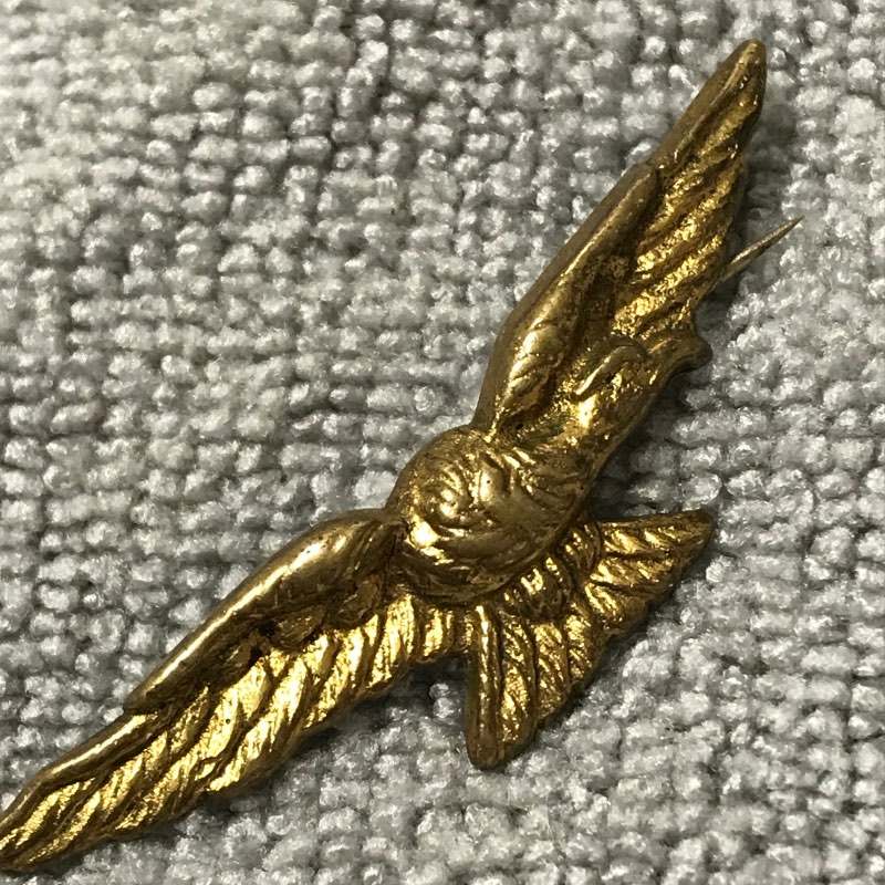 Is this Soaring Eagle an Aviation Pilot Wings - WING BADGES - U.S ...