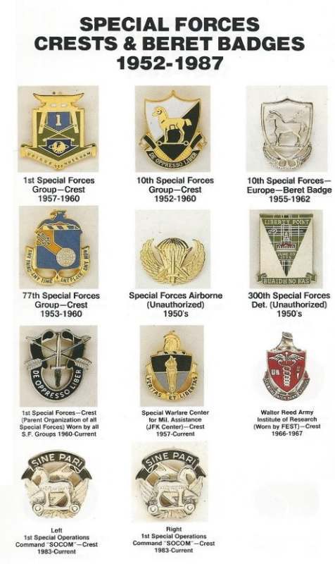 Patches in action: Photos of SSI being worn by the troops. - Page 246 ...