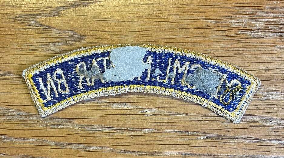81 st Chemical Motar Bn tab caution - ARMY AND USAAF - U.S. Militaria Forum