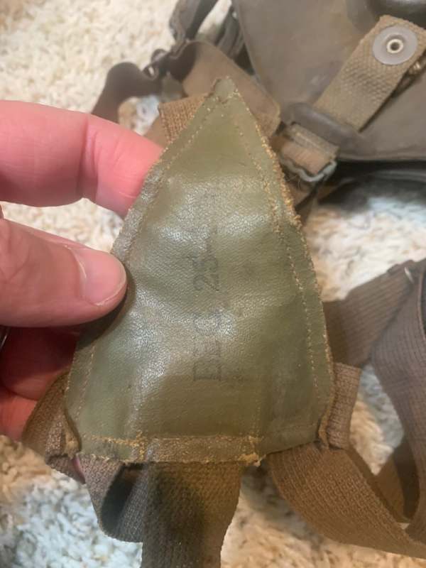 M5 Gas Mask? - FIELD & PERSONAL GEAR SECTION - U.S. Militaria Forum