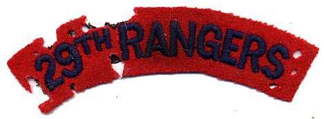 Patches in action: Photos of SSI being worn by the troops. - Page 253 ...