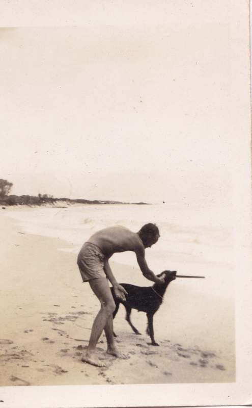 USMC War Dogs Iwo Jima 24th Marines Doberman - ANIMALS IN SERVICE - U.S ...