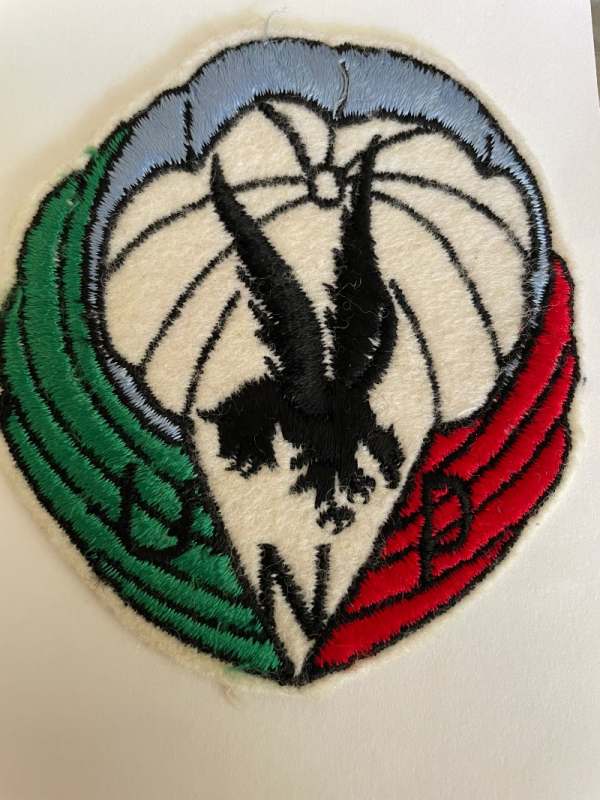 UNPIK related airborne? - ARMY AND USAAF - U.S. Militaria Forum