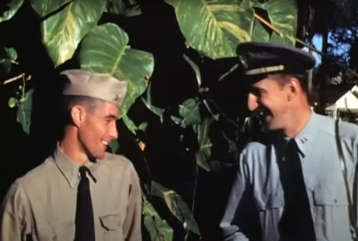 Study: USN WWII Gray Uniforms 1943-1949 - Page 14 - NAVAL & SEA SERVICE ...