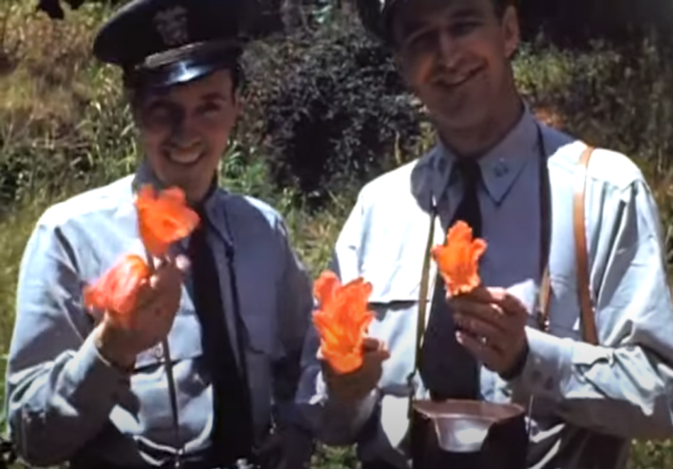 Study: USN WWII Gray Uniforms 1943-1949 - Page 14 - NAVAL & SEA SERVICE ...