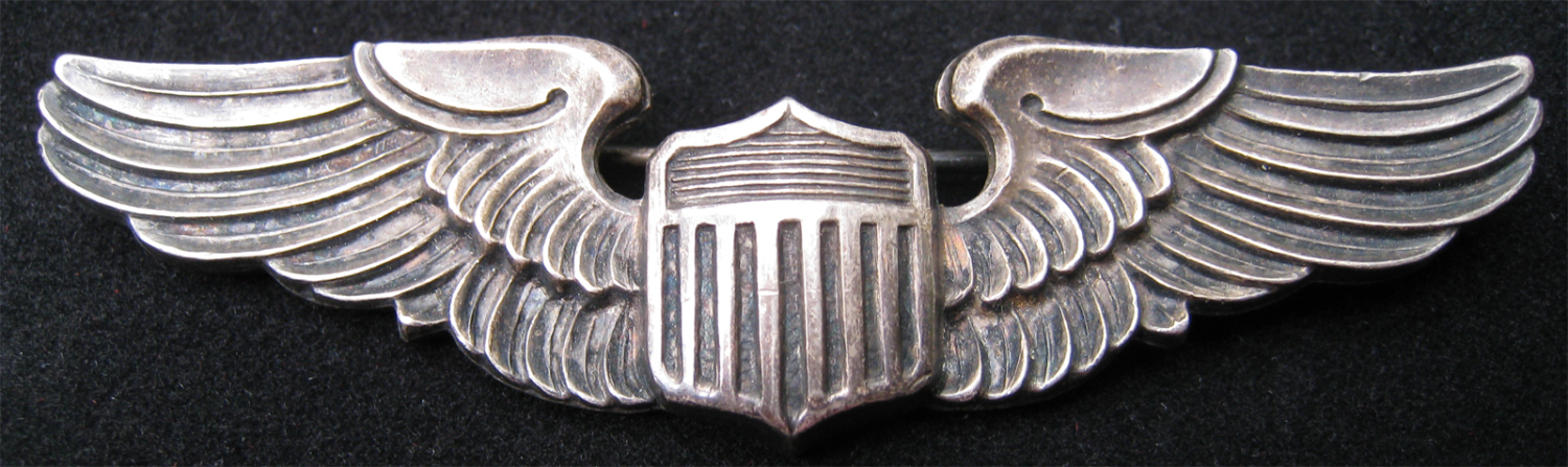 I’m pretty sure these class W-1 wings are not authentic, but seeking ...