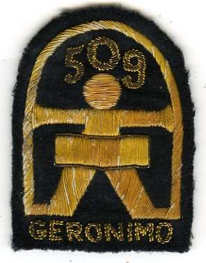 509th for you guys to beat up on - ARMY AND USAAF - U.S. Militaria Forum