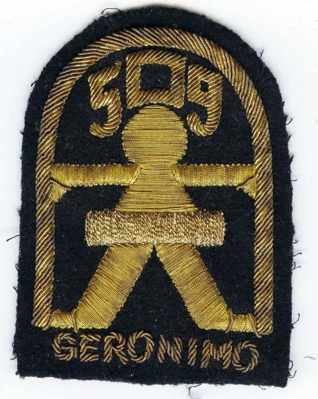 509th for you guys to beat up on - ARMY AND USAAF - U.S. Militaria Forum