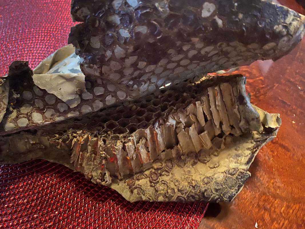 Lauri Törni AKA Larry Thorne Uniforms? - MISC MILITARIA - U.S ...