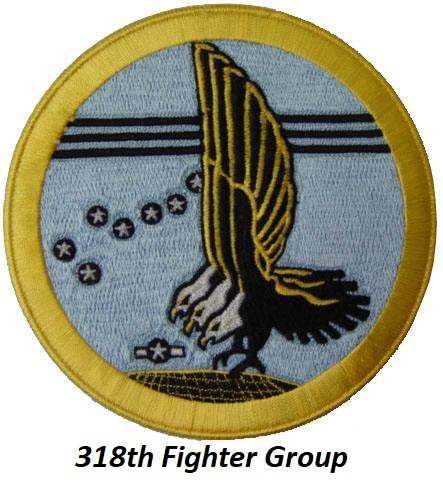Need Help ID’ing Leather AAF/USAF Patch - WWII? 318th FG - CAN YOU ...